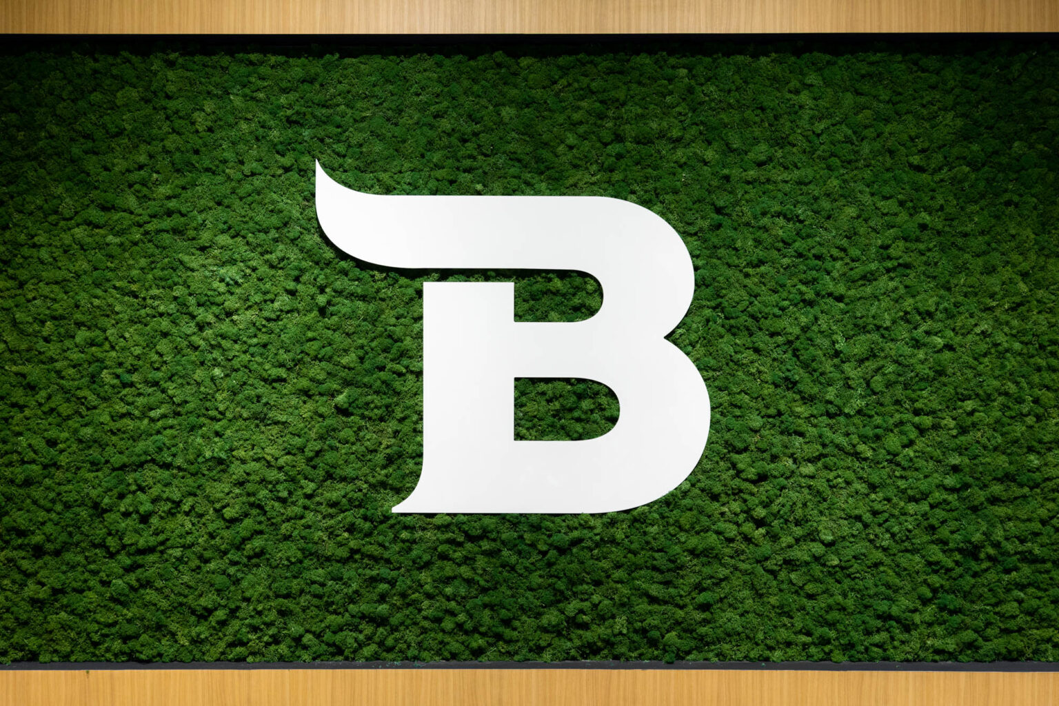 Bison State Bank - Meet Our Team Of Dedicated Professionals